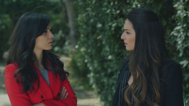 Endless Love 8 giugno, trama, cast, attori, curiosità, finale