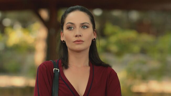 Terra Amara ultima puntata, trama, cast, attori, curiosità, finale
