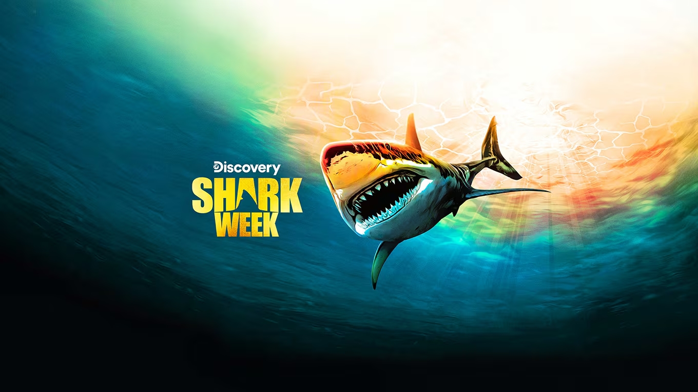 Shark Week 2024, Discovery Channel, speciali, programmi, orari